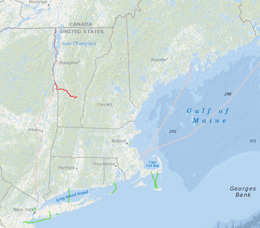 New tool for interactive map TGS 4C | 4C Offshore News