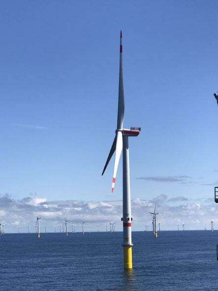 Corio plans over 5 GW in Brazil | 4C Offshore News