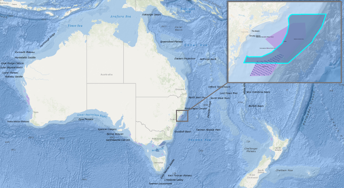 BlueFloat Energy unveils proposal for floating project off Australia's ...