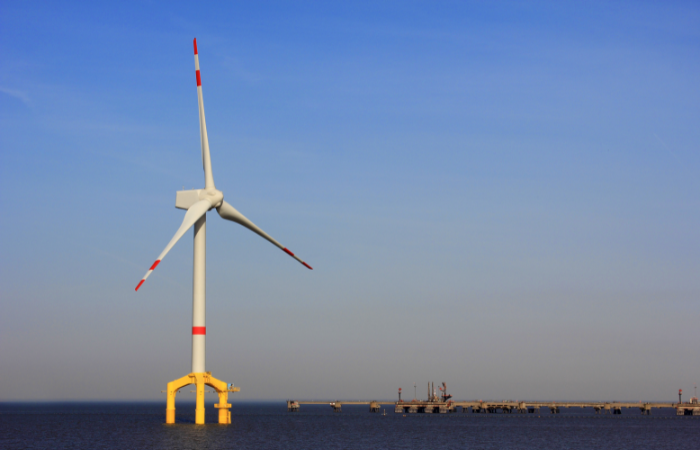 BOEM publishes final guidance for submission TGS 4C | 4C Offshore News