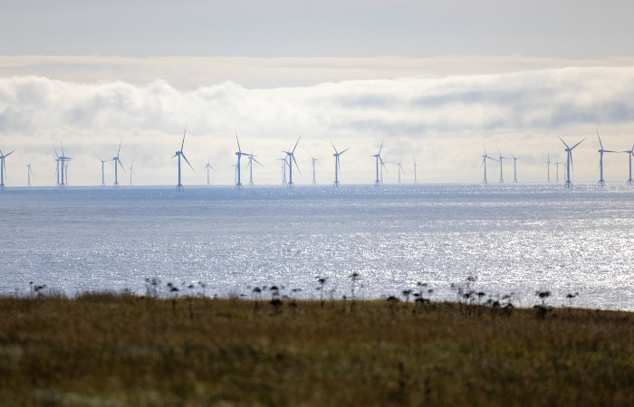 Rampion 2 offshore wind farm update: Ensuring every voice is heard | 4C ...