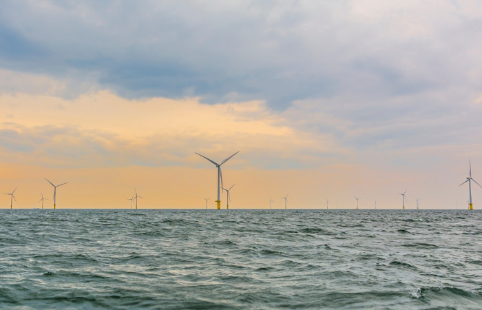 BOEM releases draft wind energy area in Gulf of Maine | 4C Offshore News