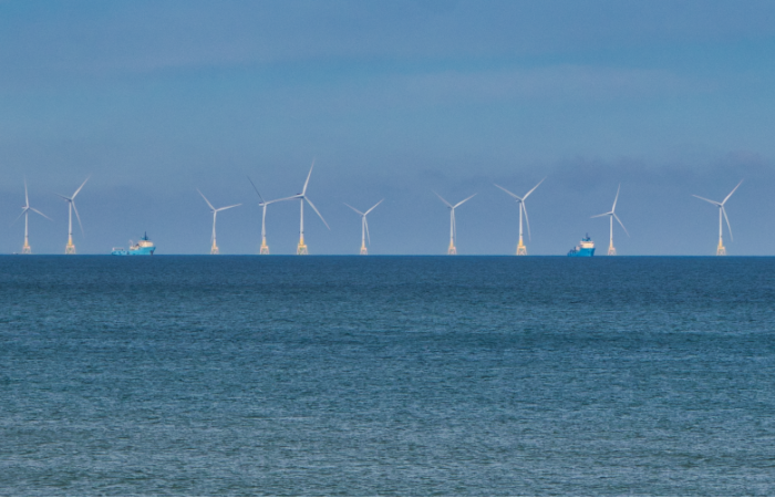 INTOG: Exclusivity Agreements signed for 7 projects TGS 4C | 4C ...