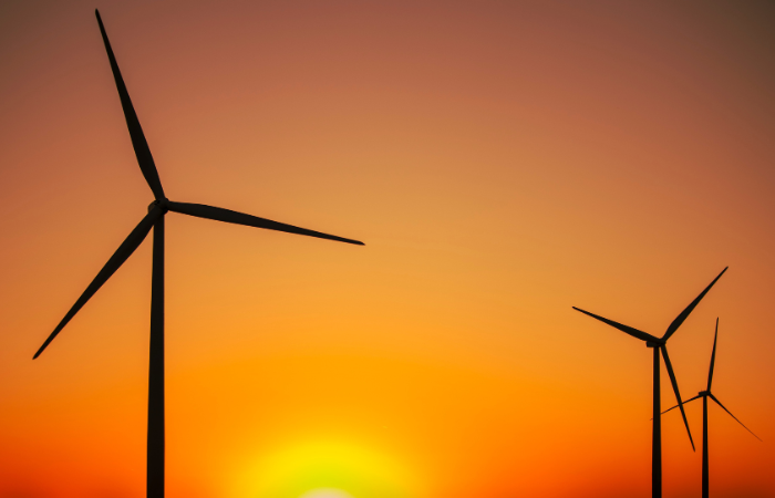 Whitehouse unveils draft bill for offshore wind development | 4C ...