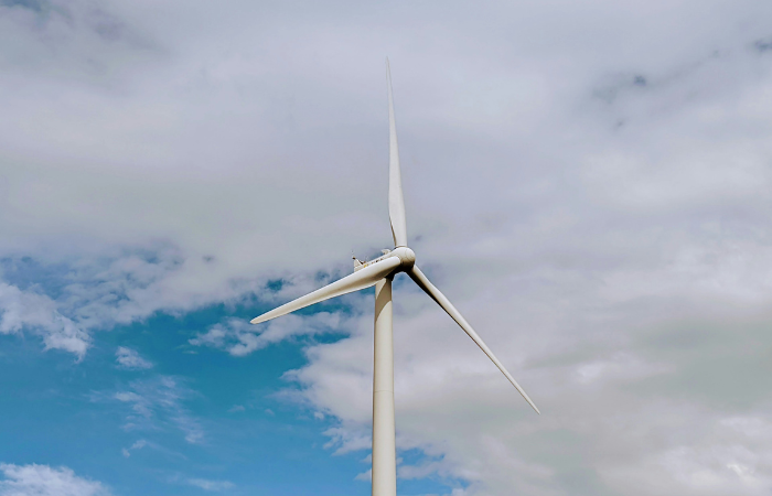 The Crown Estate outlines progress to accelerate offshore wind growth ...