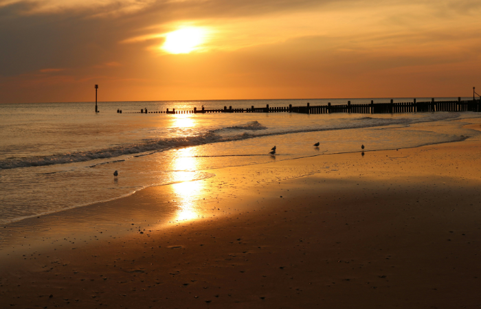 UK launches first offshore wind recruitment programme in East Anglia ...