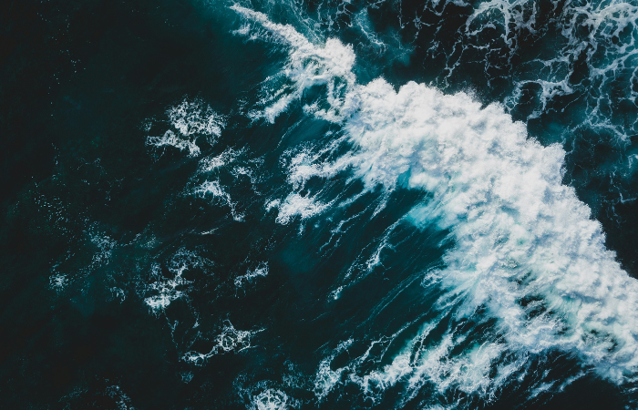 TGS announces new wind and metocean measurement campaign offshore ...