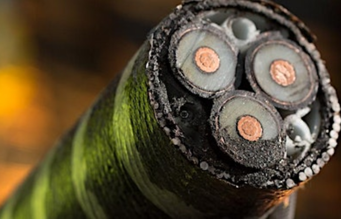 New report highlights cable failure as a major future challenge in ...