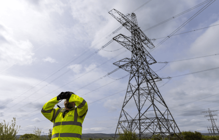 Iberdrola becomes UK's second largest electricity grid operator | 4C ...