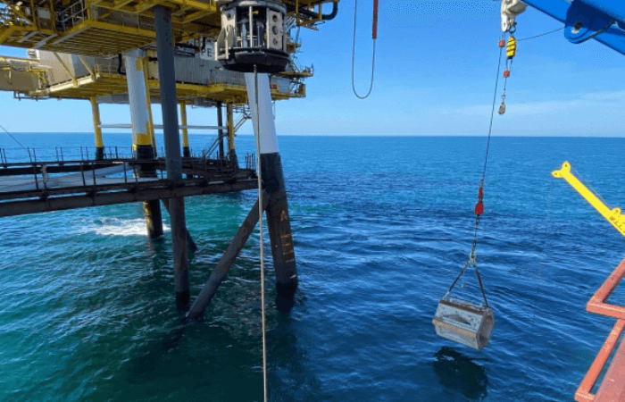 Exo Engineering launches biodiversity-boosting artificial reefs for ...