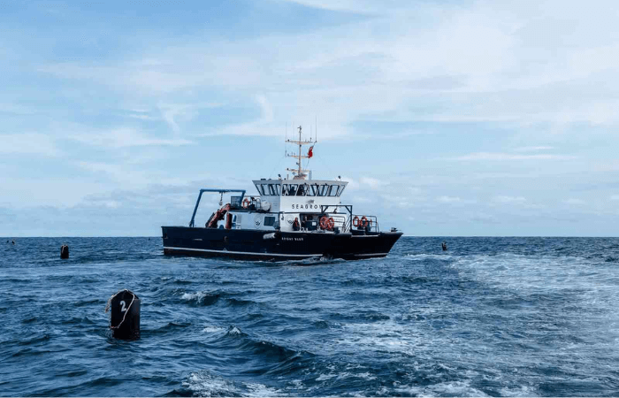 RWE announces winners of global offshore wind co-use competition | 4C ...