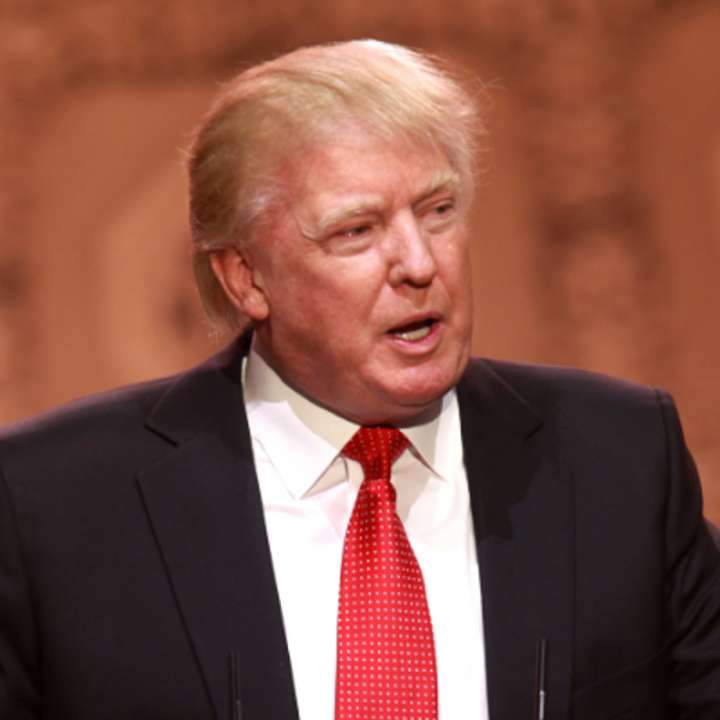 Trump tells UK PM to stop building 'unsightly windmills' in bizarre ...