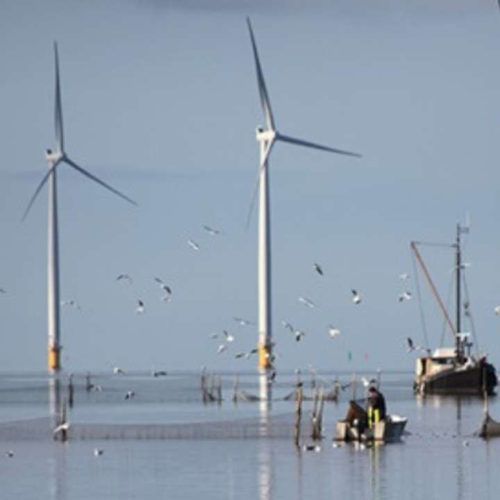 Fishing org calls on Crown Estate to ease floating wind handover TGS 4C ...