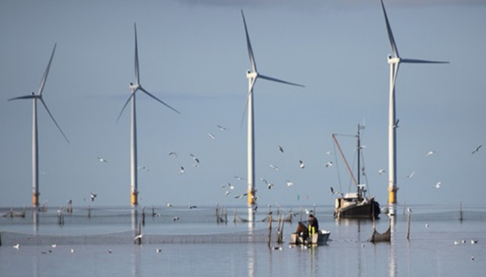 Fishing org calls on Crown Estate to ease floating wind handover TGS 4C ...