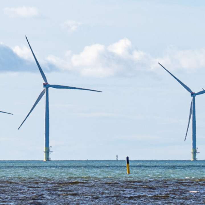 Eco assessment to be carried out for 1.4GW offshore wind farm TGS 4C ...