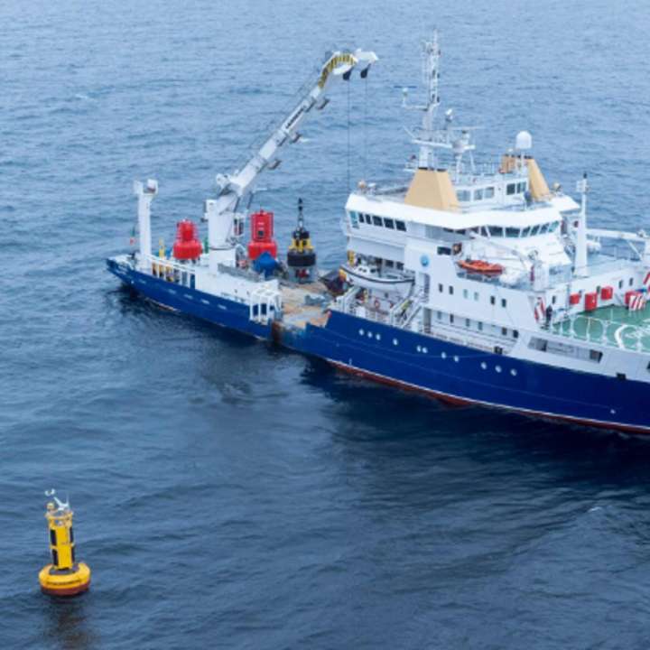 Eco survey begins at 900MW Irish wind site TGS 4C | 4C Offshore News