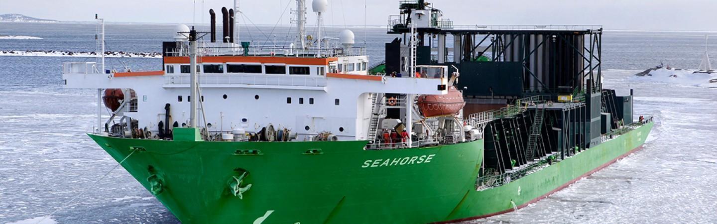 Seahorse - Stone dumping | 4C Offshore