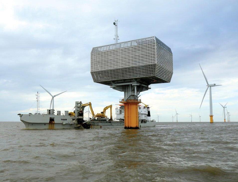 Tiger - Stone dumping | 4C Offshore