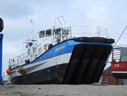 Sea Puffin 1 - Daughter craft | 4C Offshore