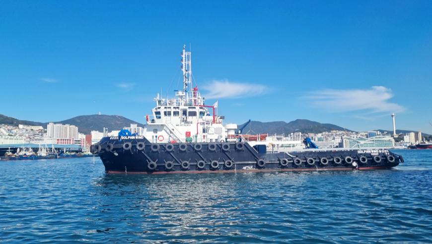 Dolphin Wind - Nearshore | 4C Offshore